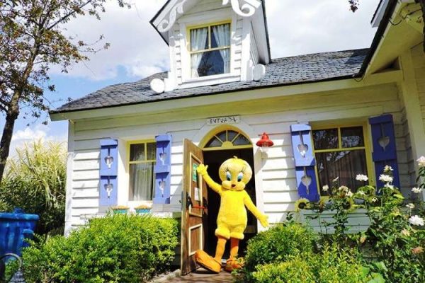 Hotel Embrujado, la "mad house" más terrorífica de Warner |Estiber