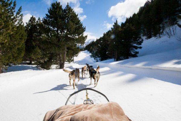 Mushing: qué es y dónde practicarlo | Estiber.com