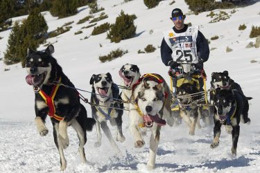 Mushing: qué es y dónde practicarlo | Estiber.com